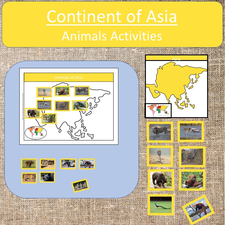 Continent of Asia Animals Activities Montessori Preschool | Made By ...