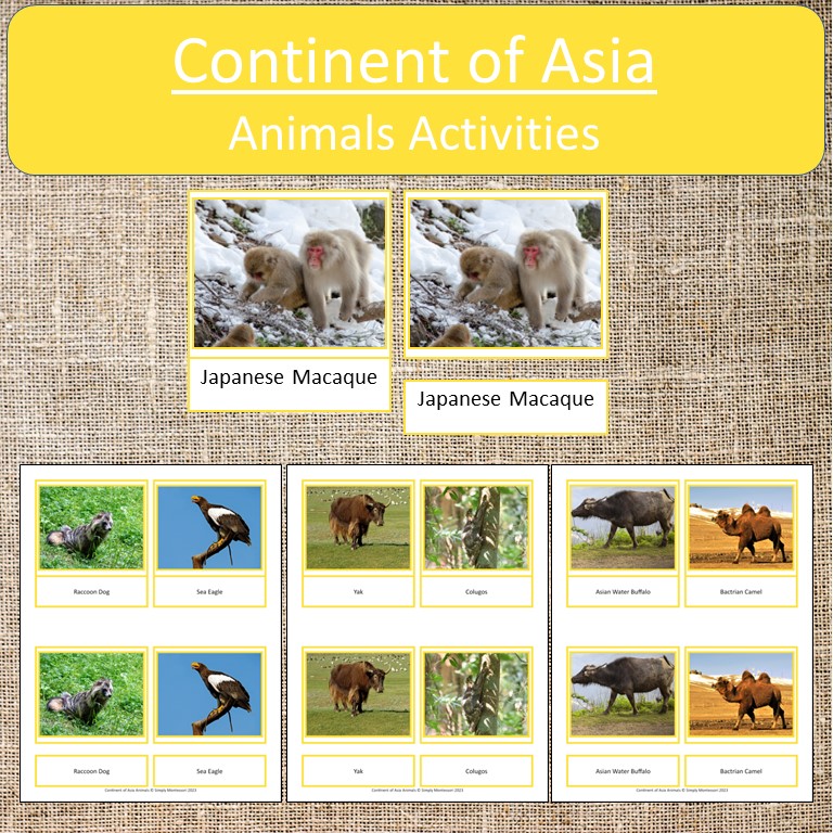 Continent of Asia Animals Activities Montessori Preschool | Made By ...