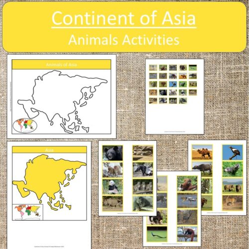 Continent of Asia Animals Activities Montessori Preschool | Made By ...
