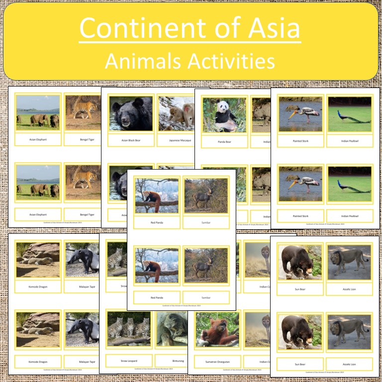 Continent of Asia Animals Activities Montessori Preschool | Made By ...