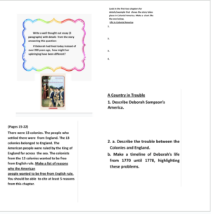 SECRET SOLDIER BY ANN MCGOVERN READING COMPREHENSION & ACTIVITIES UNIT ...