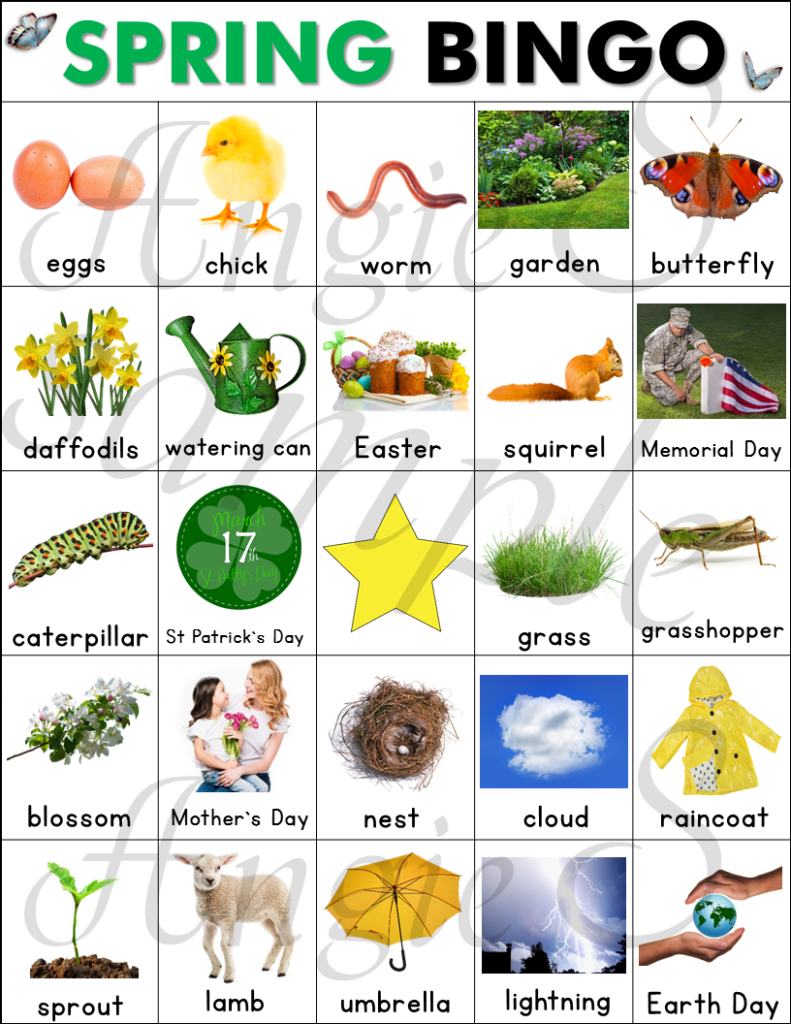 Spring Bingo Game and Vocabulary Cards with Real Pictures | Made By ...