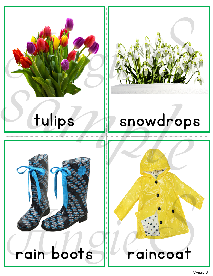 Spring Bingo Game and Vocabulary Cards with Real Pictures | Made By ...