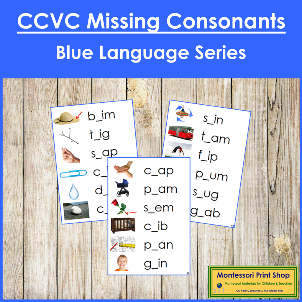 Blue Phonetic CCVC Missing Consonant Cards (photos) | Made By Teachers
