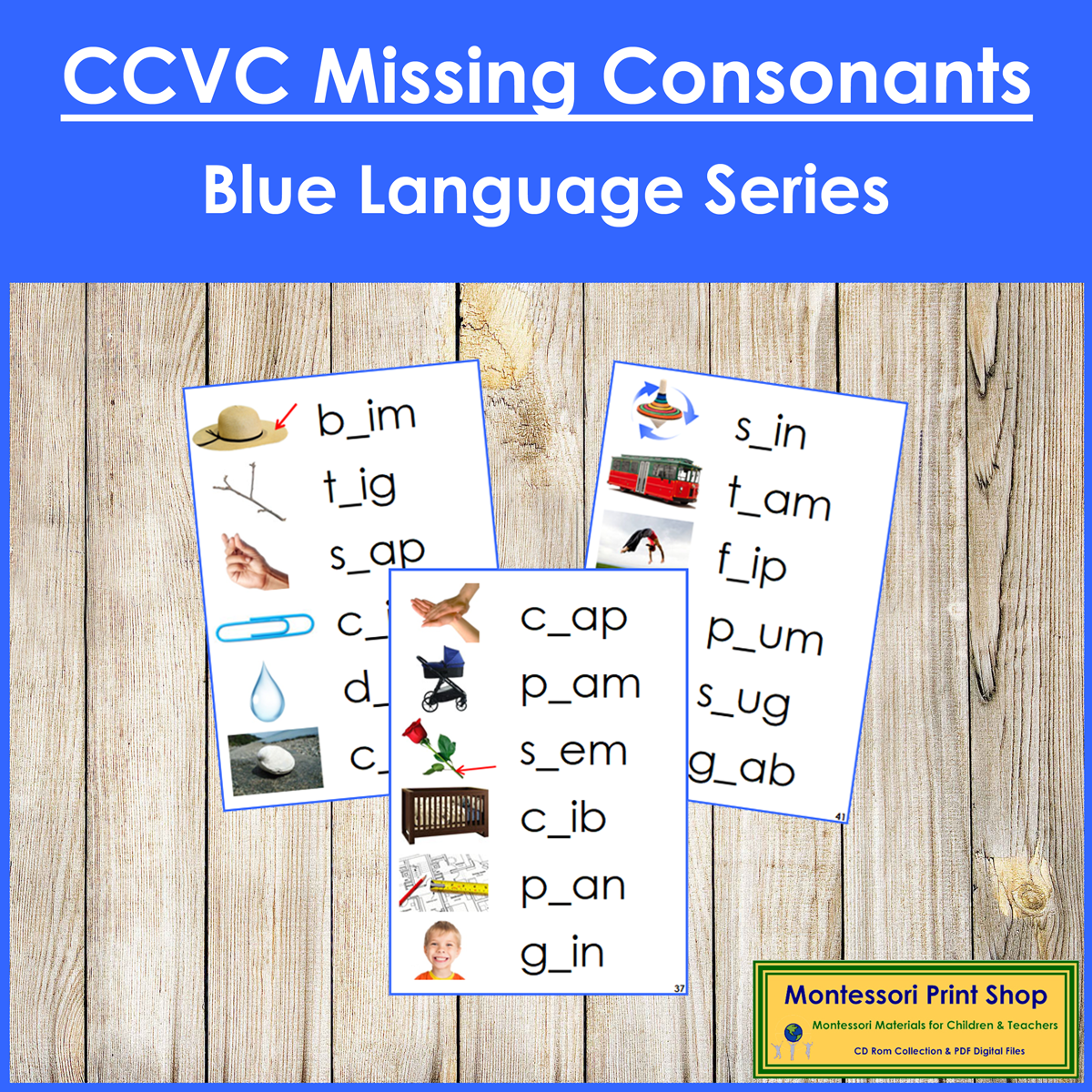 Blue Phonetic CCVC Missing Consonant Cards (photos) | Made By Teachers