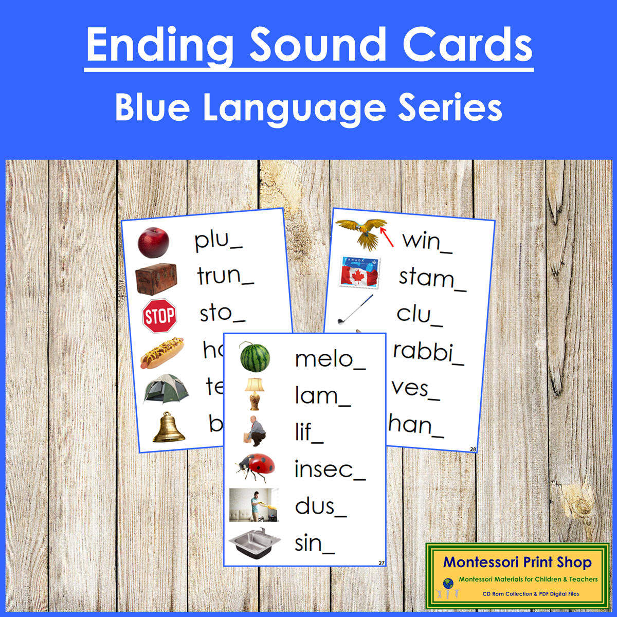 Blue Phonetic Ending Sound Cards (photos) | Made By Teachers