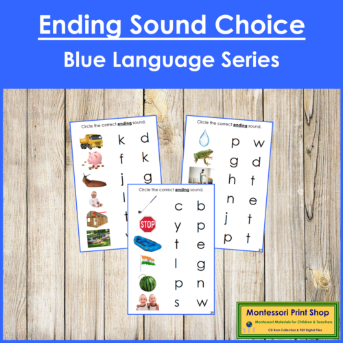 Blue Phonetic Ending Sound Choice Cards (photos) | Made By Teachers