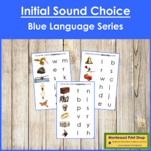 Blue Phonetic Initial Sound Choice Cards (photos) | Made By Teachers