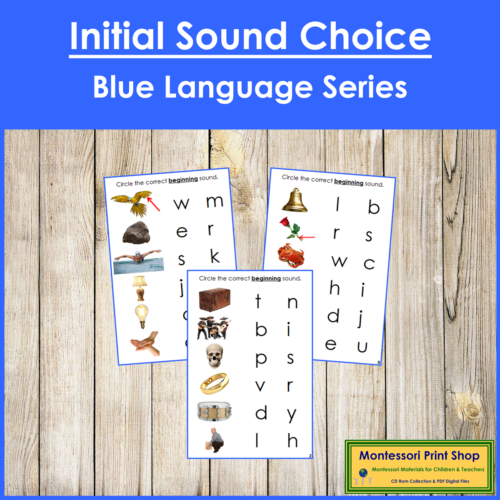 Blue Phonetic Initial Sound Choice Cards (photos) | Made By Teachers