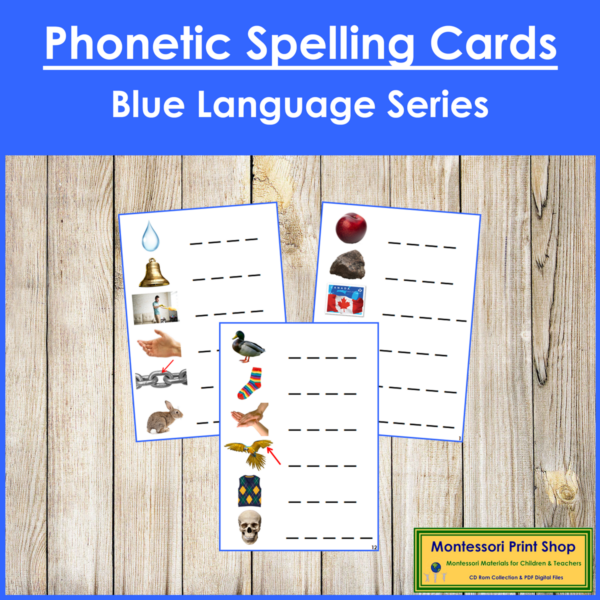 Blue Phonetic Spelling Cards (photos) | Made By Teachers