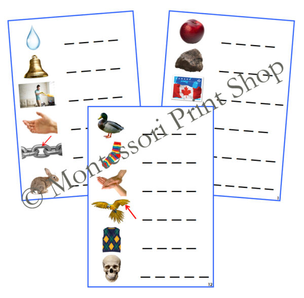 Blue Phonetic Spelling Cards (photos) | Made By Teachers