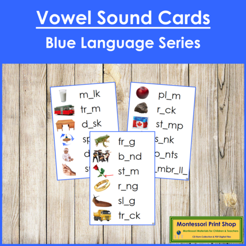 Blue Phonetic Vowel Sound Cards (photos) | Made By Teachers