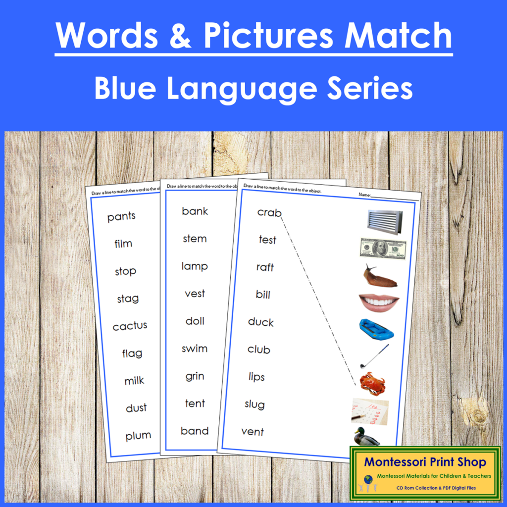 Blue Phonetic Words & Pictures Match (photos) | Made By Teachers