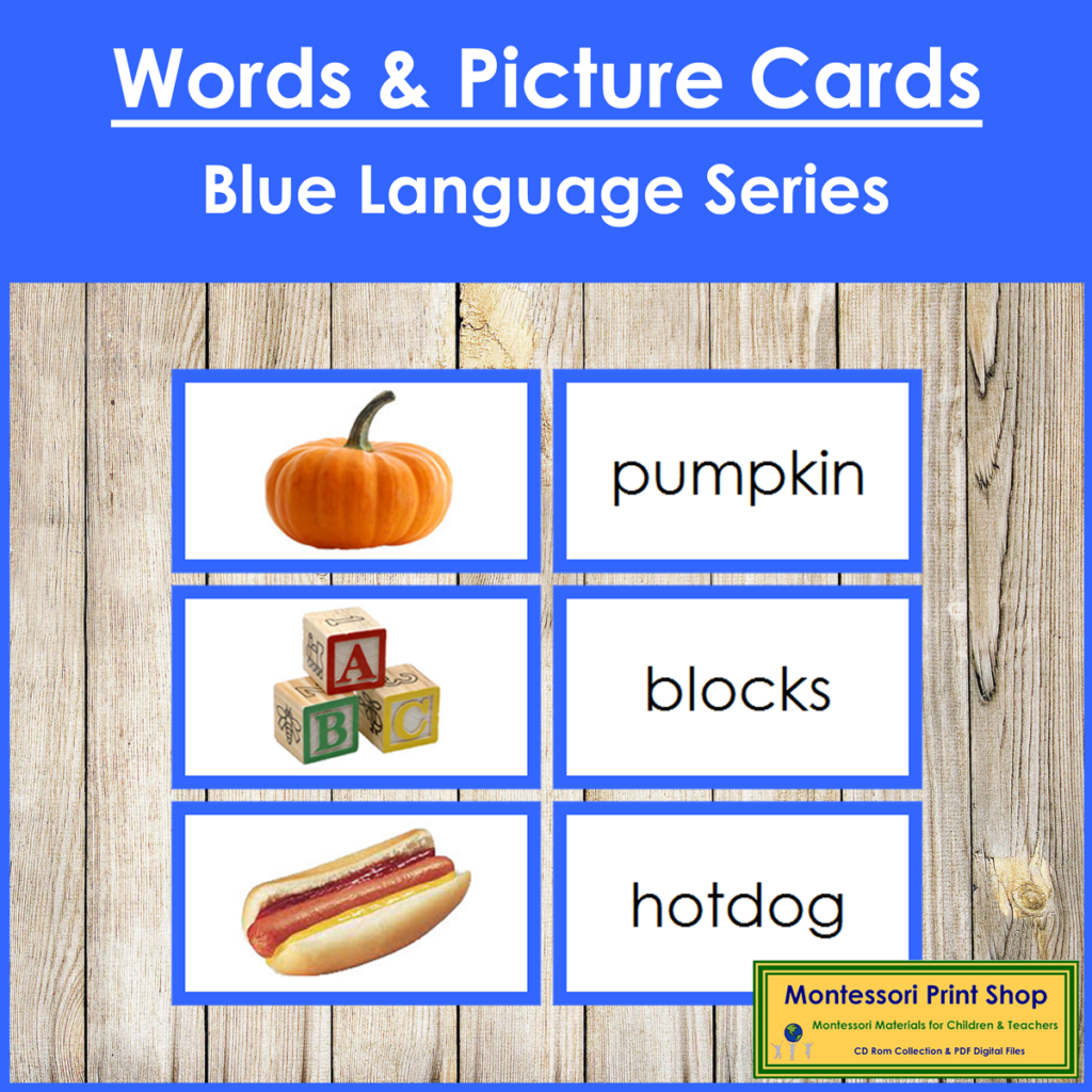 Blue Phonetic Words & Picture Cards (photos) | Made By Teachers