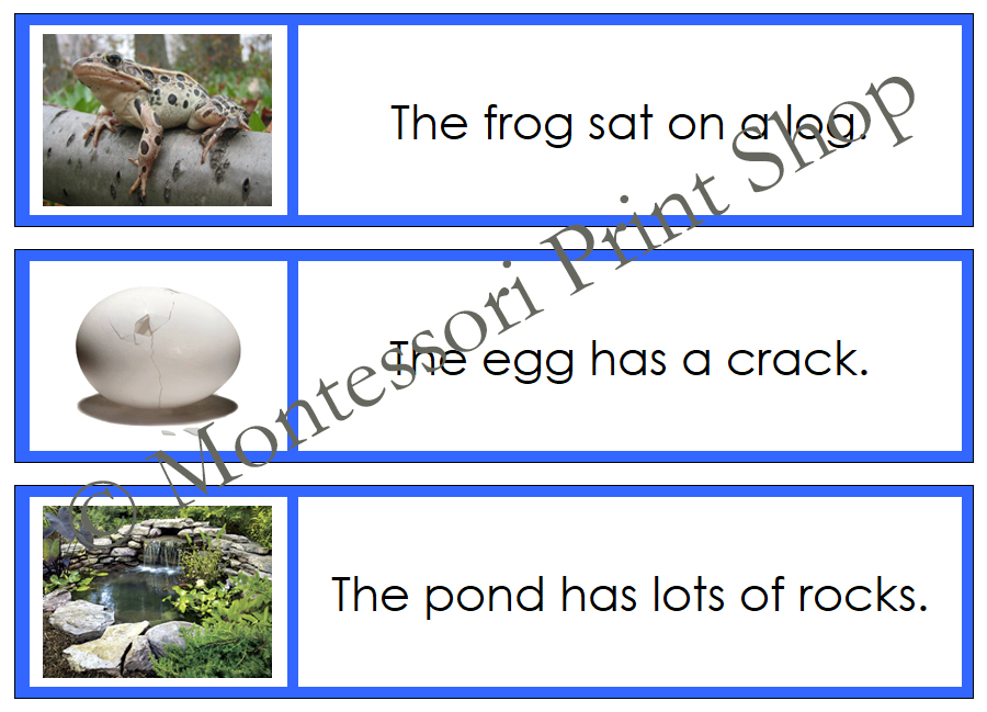 Montessori Blue Phonetic Language Series | Made By Teachers