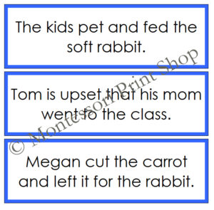 Montessori Blue Phonetic Language Series | Made By Teachers