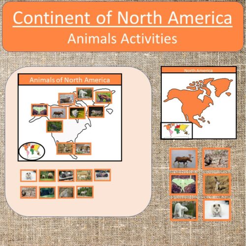 Continent of North America Animal activities | Made By Teachers