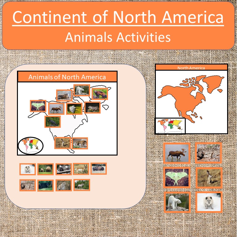 Continent of North America Animal activities | Made By Teachers