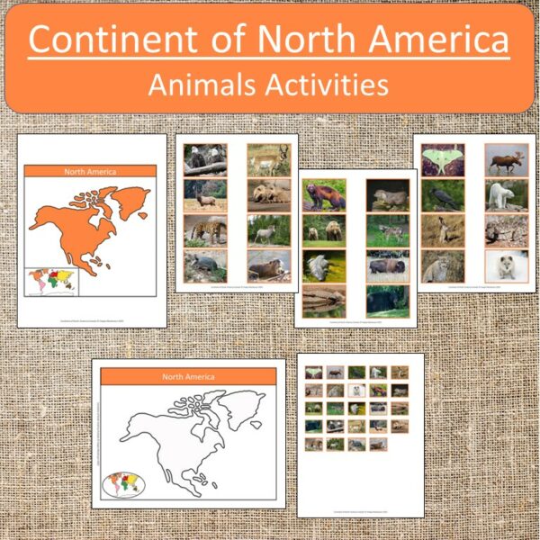 Continent of North America Animal activities | Made By Teachers