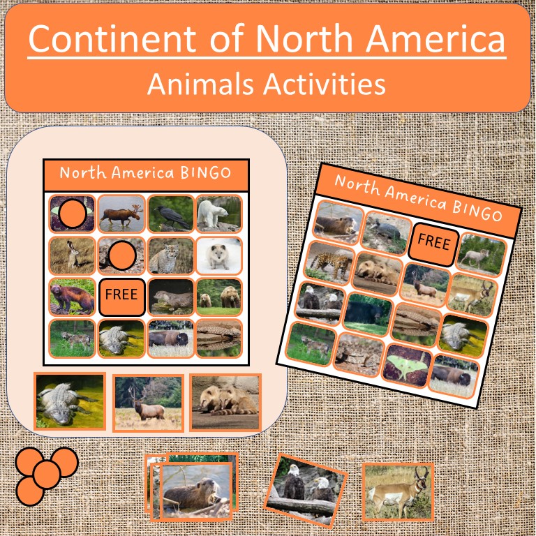 Continent of North America Animal activities | Made By Teachers
