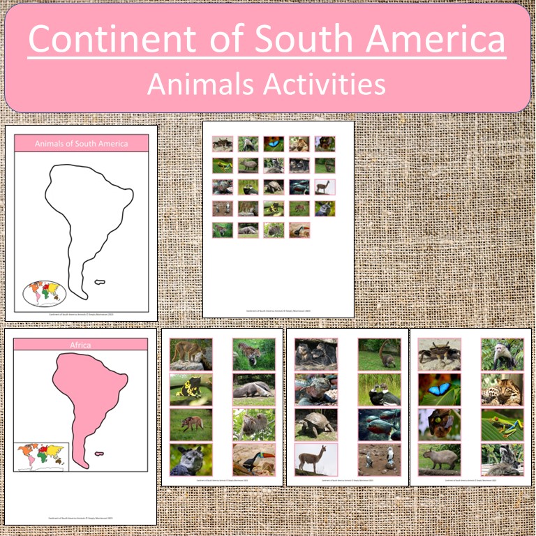 Continent of South America Animal activities | Made By Teachers