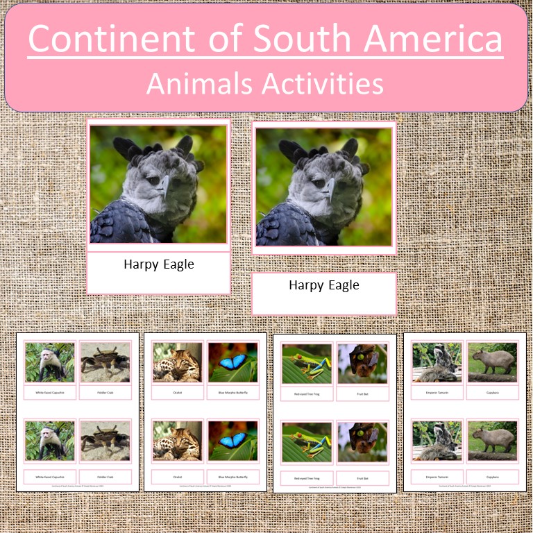 Continent of South America Animal activities | Made By Teachers