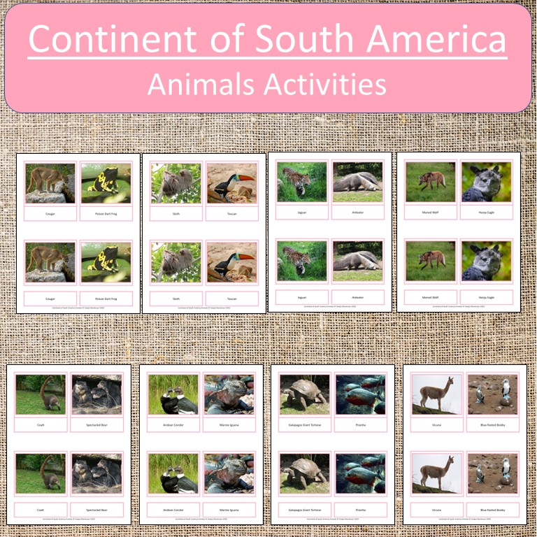 Continent of South America Animal activities | Made By Teachers