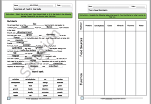 Food Technology Lessons - Set 2 "General Food Technology" | Made By ...