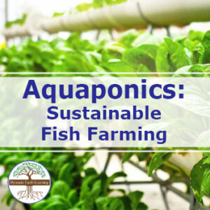 Aquaponics: Fish Farming | Video, Handout, and Worksheets | Made By ...