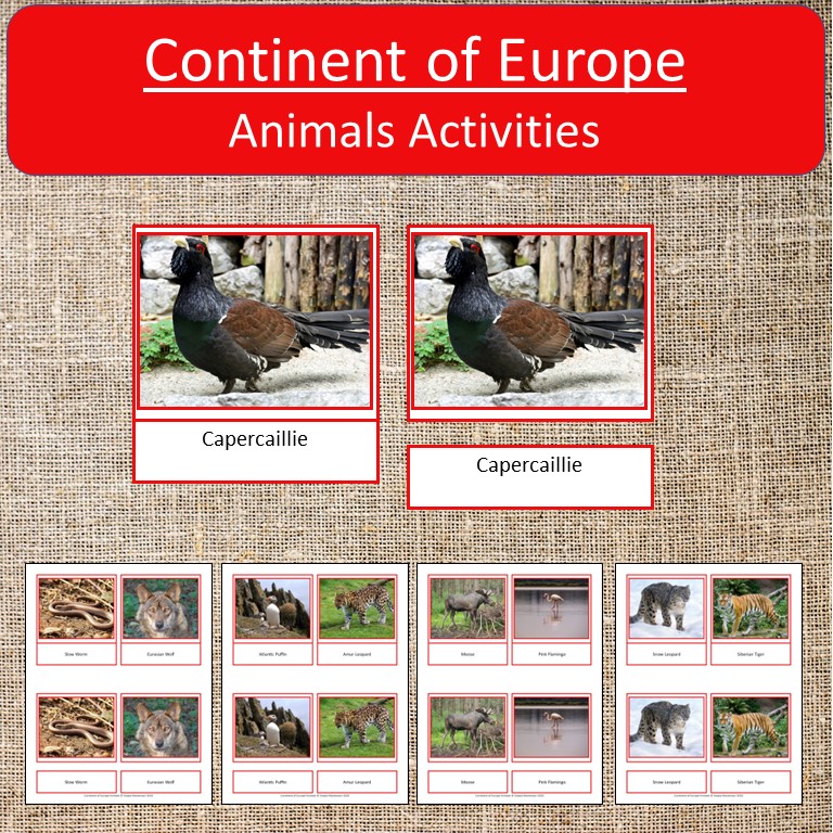 Continent of Europe Animal activities | Made By Teachers