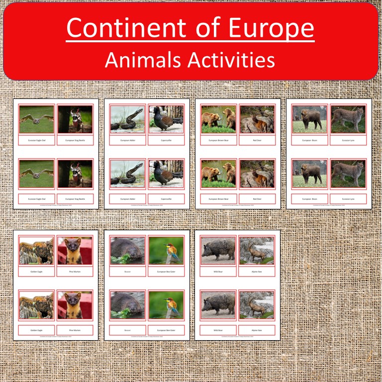 Continent of Europe Animal activities | Made By Teachers