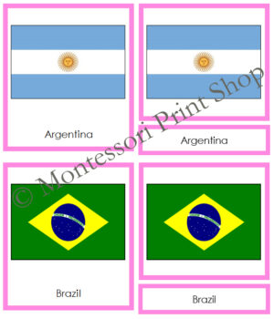 Flags of South America 3-Part Cards (color borders) - Continent Cards ...