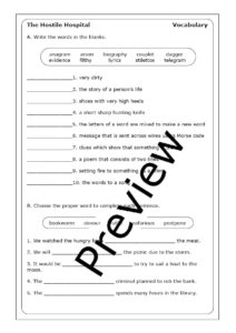 Lemony Snicket "The Hostile Hospital" worksheets | Made By Teachers