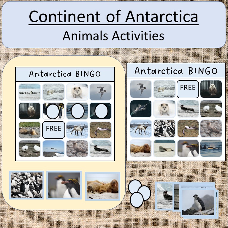 Continent of Antarctica Animal activities | Made By Teachers