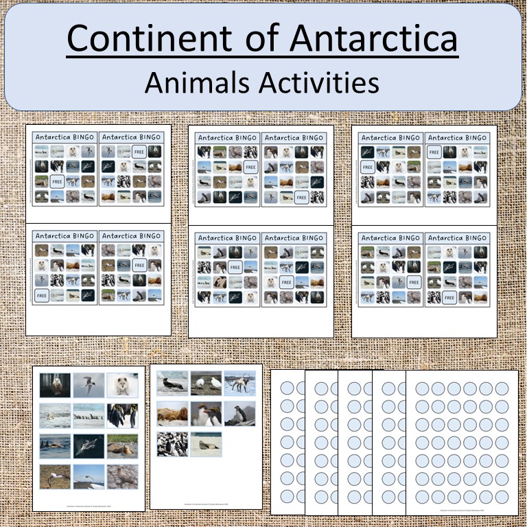 Continent of Antarctica Animal activities | Made By Teachers