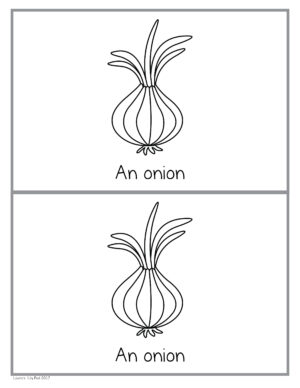 Alphabet Letter O Emergent Readers Set | Made By Teachers