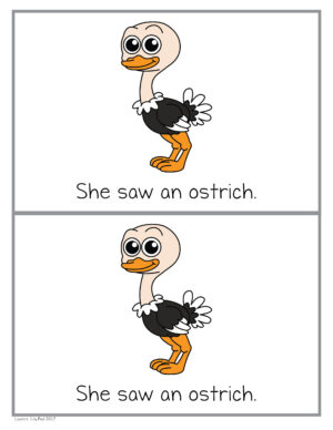 Alphabet Letter O Emergent Readers Set | Made By Teachers