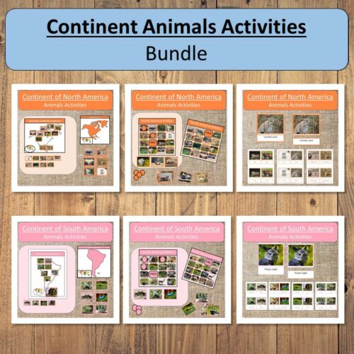 Continent Animals Activities Bundle | Made By Teachers