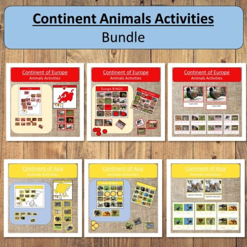 Continent Animals Activities Bundle | Made By Teachers