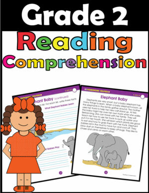 Grade 2 Reading Comprehension Passages | Made By Teachers