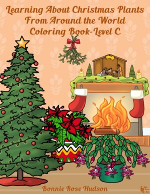 Learning About Christmas Plants From Around the World Coloring Book ...