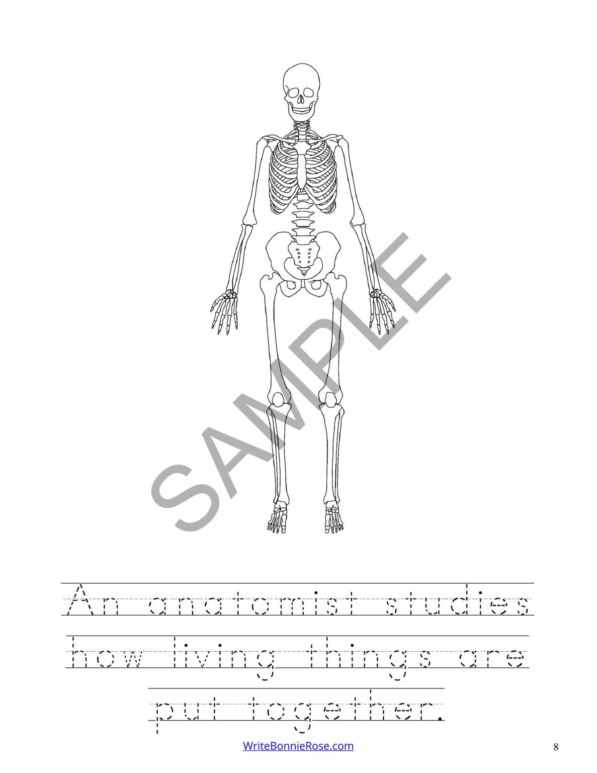 Types of Scientists Coloring Book-Level B | Made By Teachers