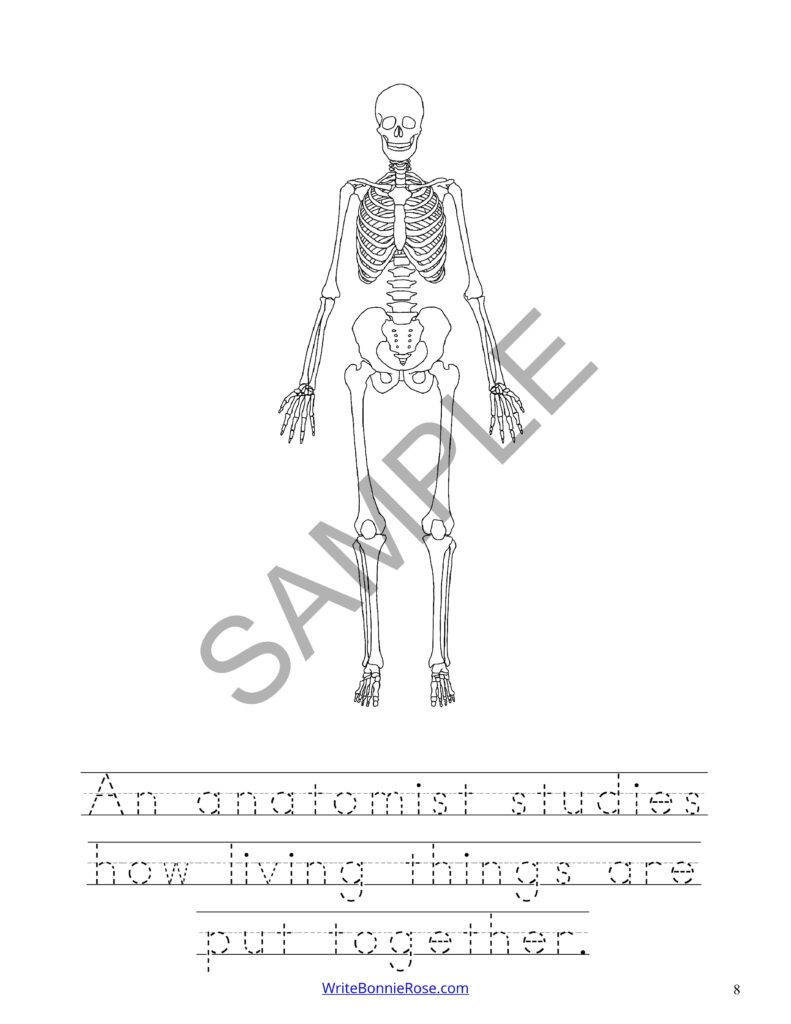 Types of Scientists Coloring Book-Level B | Made By Teachers