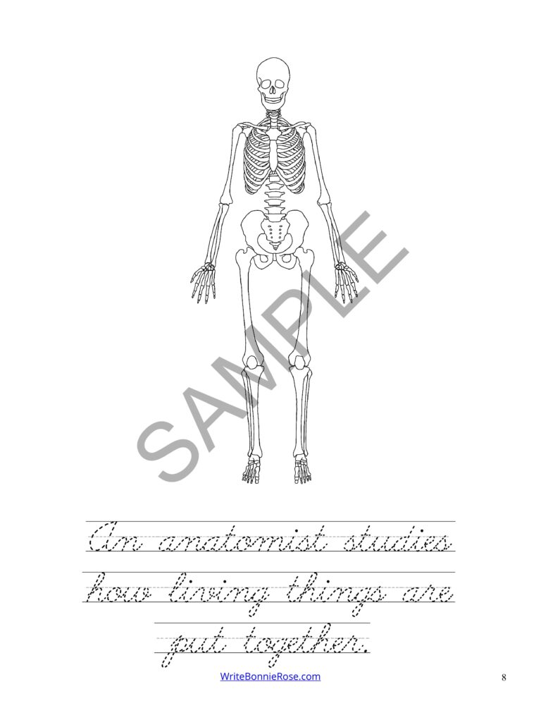 Types of Scientists Coloring Book-Level C | Made By Teachers