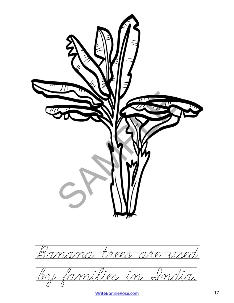 Learning About Christmas Plants From Around the World Coloring Book ...