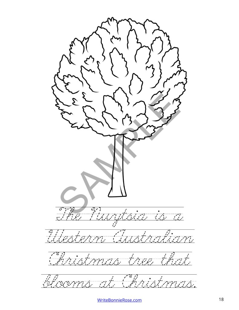 Learning About Christmas Plants From Around the World Coloring Book ...