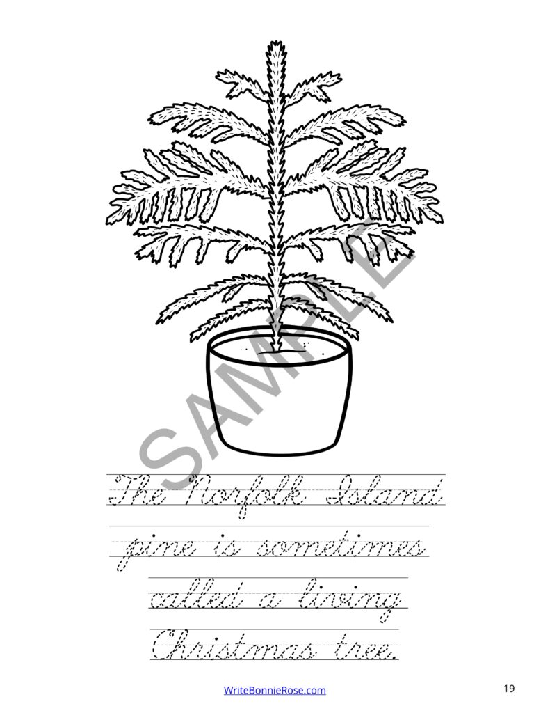 Learning About Christmas Plants From Around the World Coloring Book ...