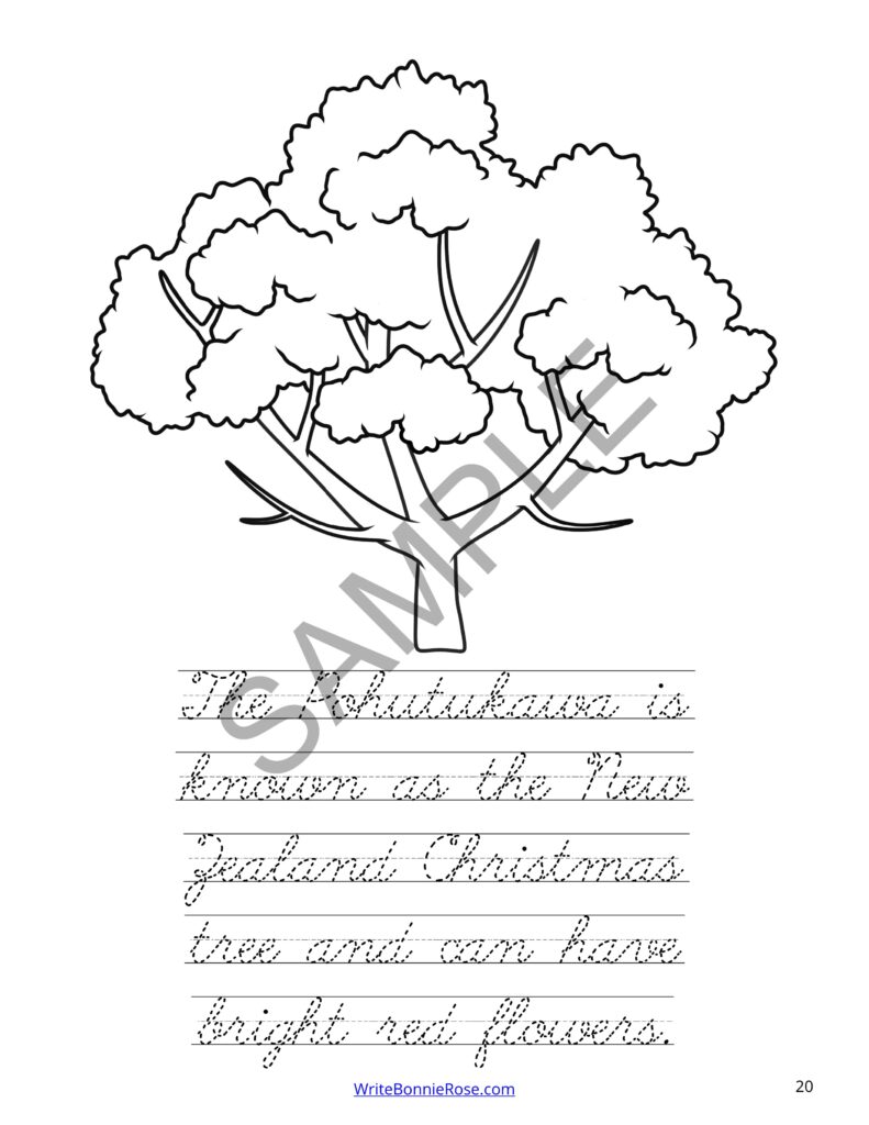 Learning About Christmas Plants From Around the World Coloring Book ...