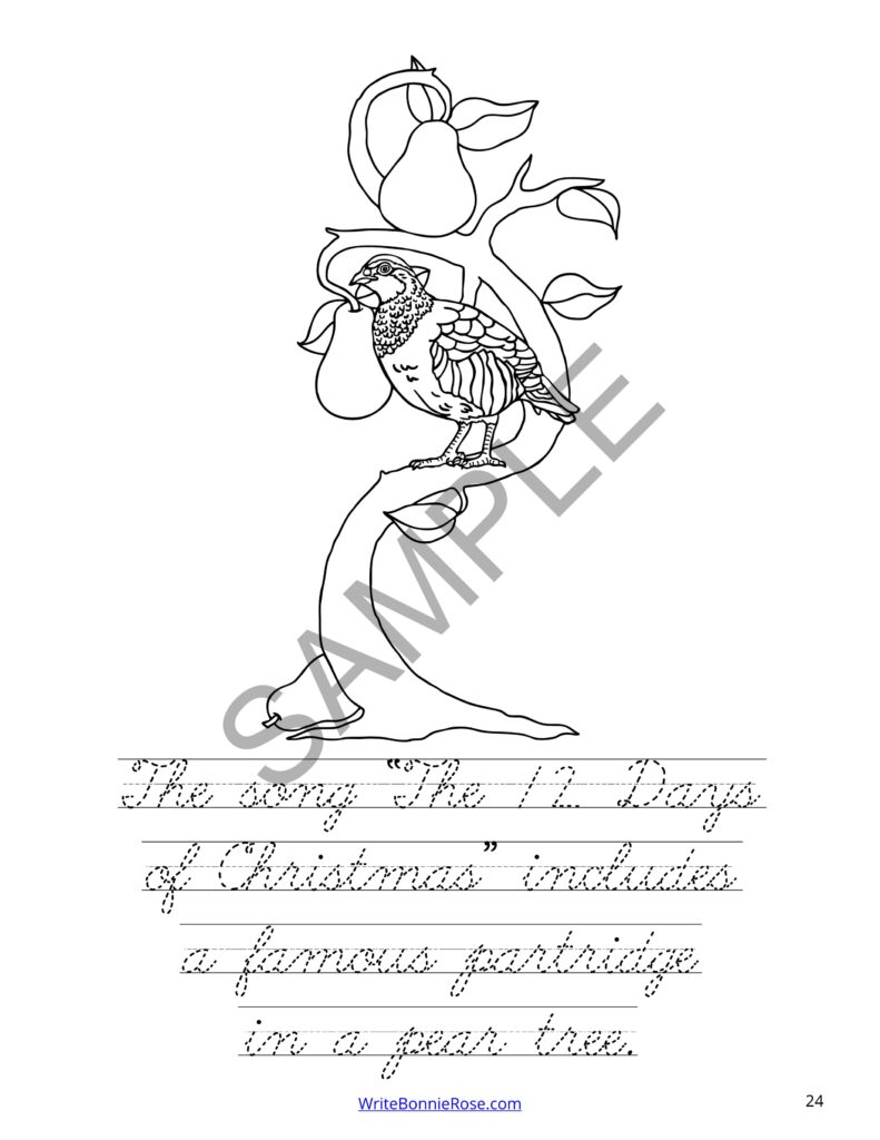 Learning About Christmas Plants From Around the World Coloring Book ...