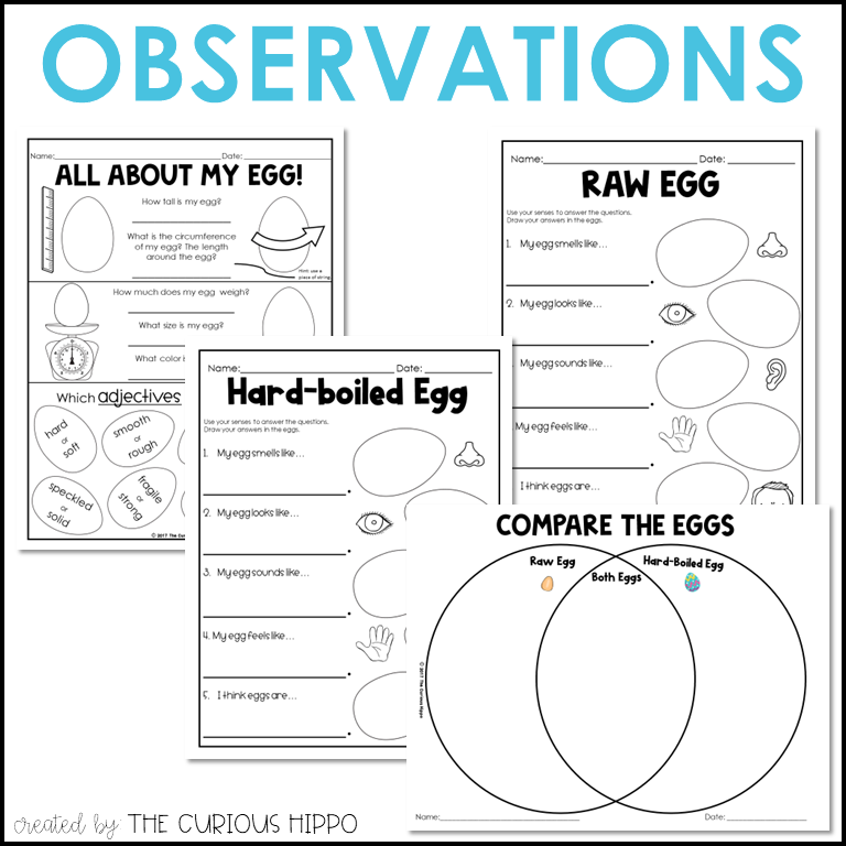 Egg Experiments | Made By Teachers